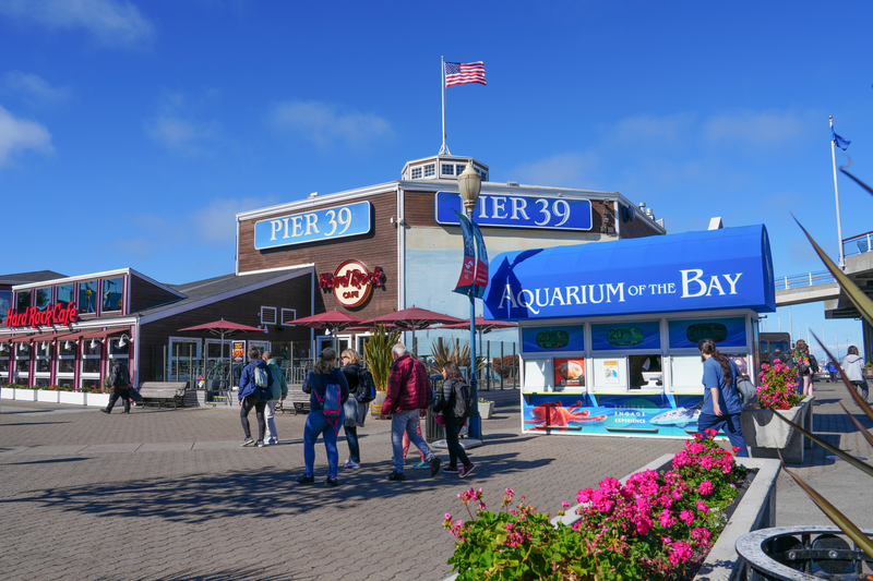 Pier 41 Marine Terminal - San Francisco Bay Ferry